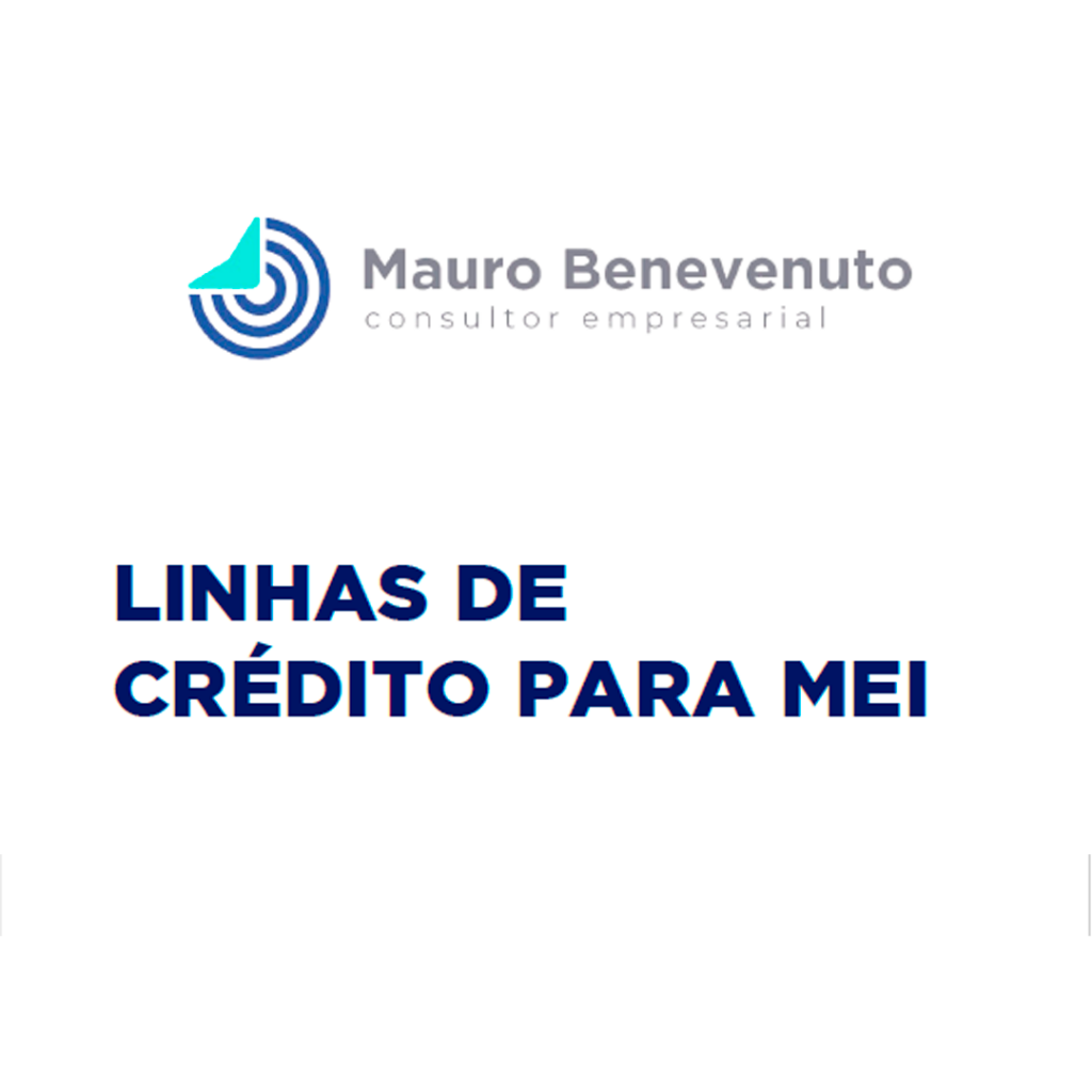 EBOOK – Linhas de Crédito para MEI – Mauro Benevenuto